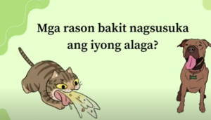 10 dahilan bakit nagsusuka ang Pusa o Aso - GamotsaPet.com